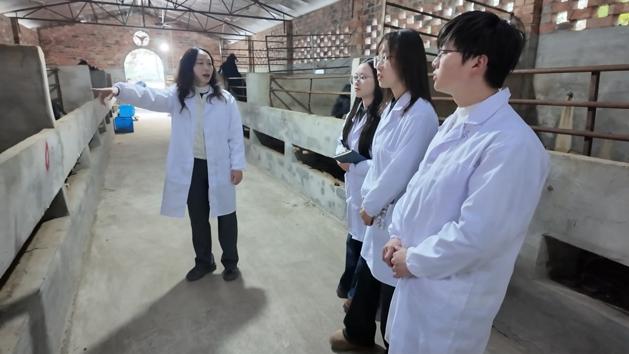 资阳首创“科技副总”柔性引才机制 以“家人式”合作激活产业创新引擎 | 每经网